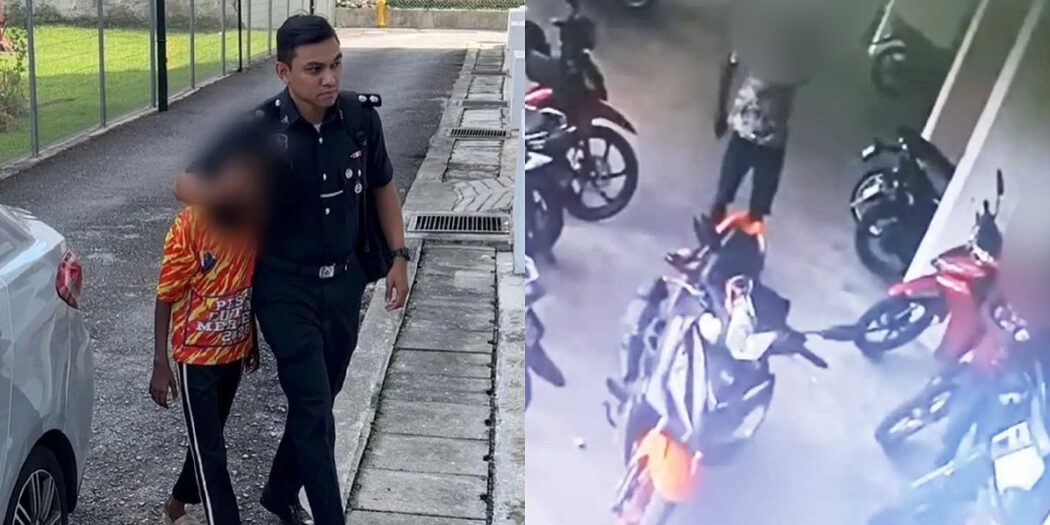 Bakar Anak Kucing Hidup-Hidup, Remaja 13 Tahun Mengaku Bersalah Bakar Anak Kucing Hidup-Hidup, Remaja 13 Tahun Mengaku Bersalah